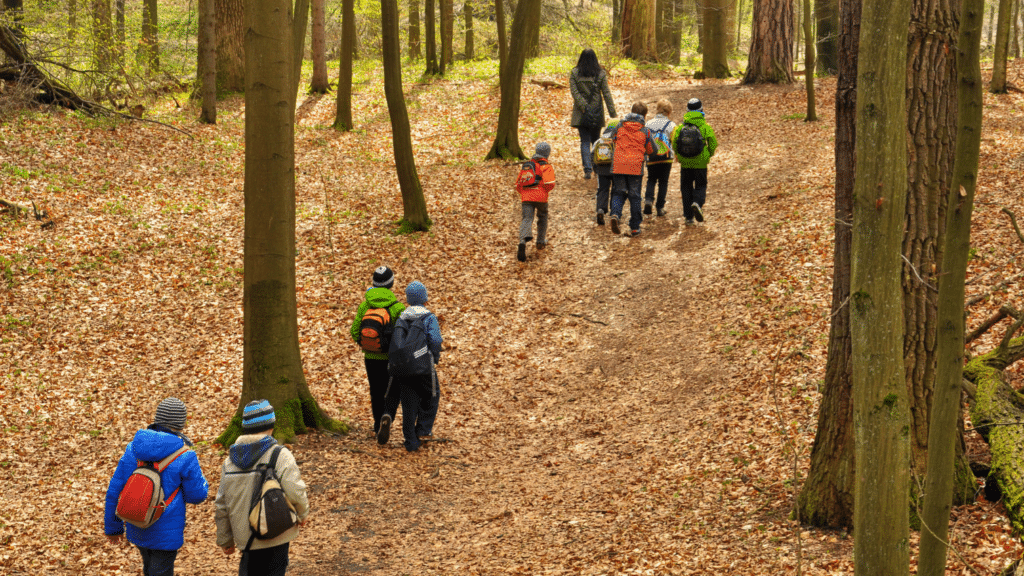 Adventure Awaits: Exploring the World of Forest Schools